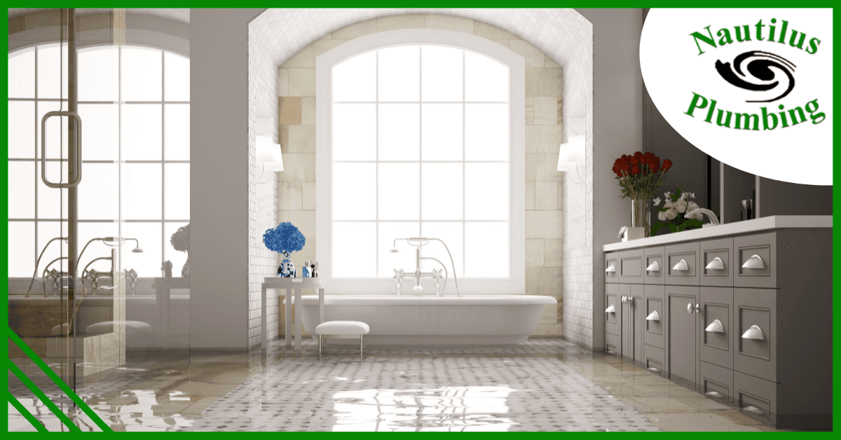 Plunge Into Summer | Nautilus Plumbing
